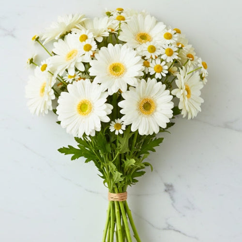 Daisy Bouquets Philippines | Chits Floral House